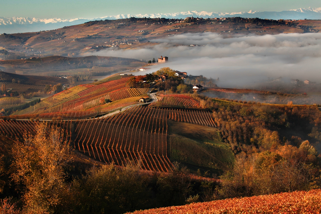 Barolo and Barbaresco become UNESCO World Heritage